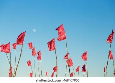 Red Flags - Pick of the Week - Quit Train®, A Quit Smoking Support Group